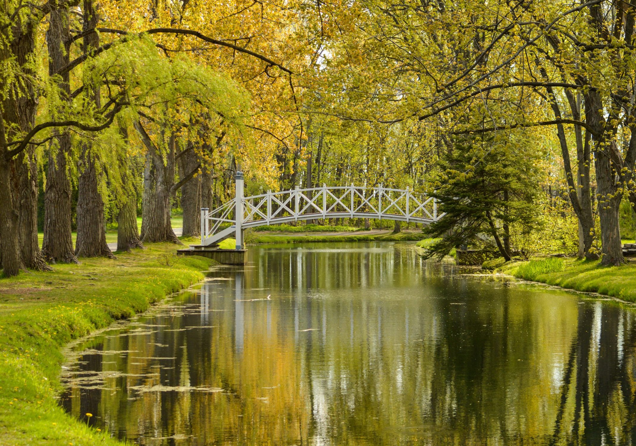 Countryside and Environment - Pembrokeshire College